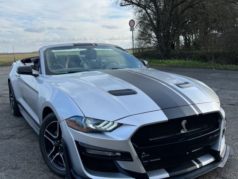 Ford Mustang Shelby Kaufen