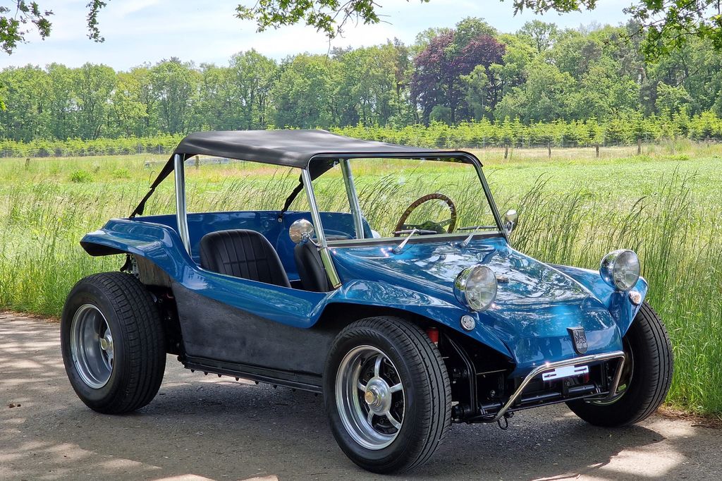 Buggy Auto Kaufen