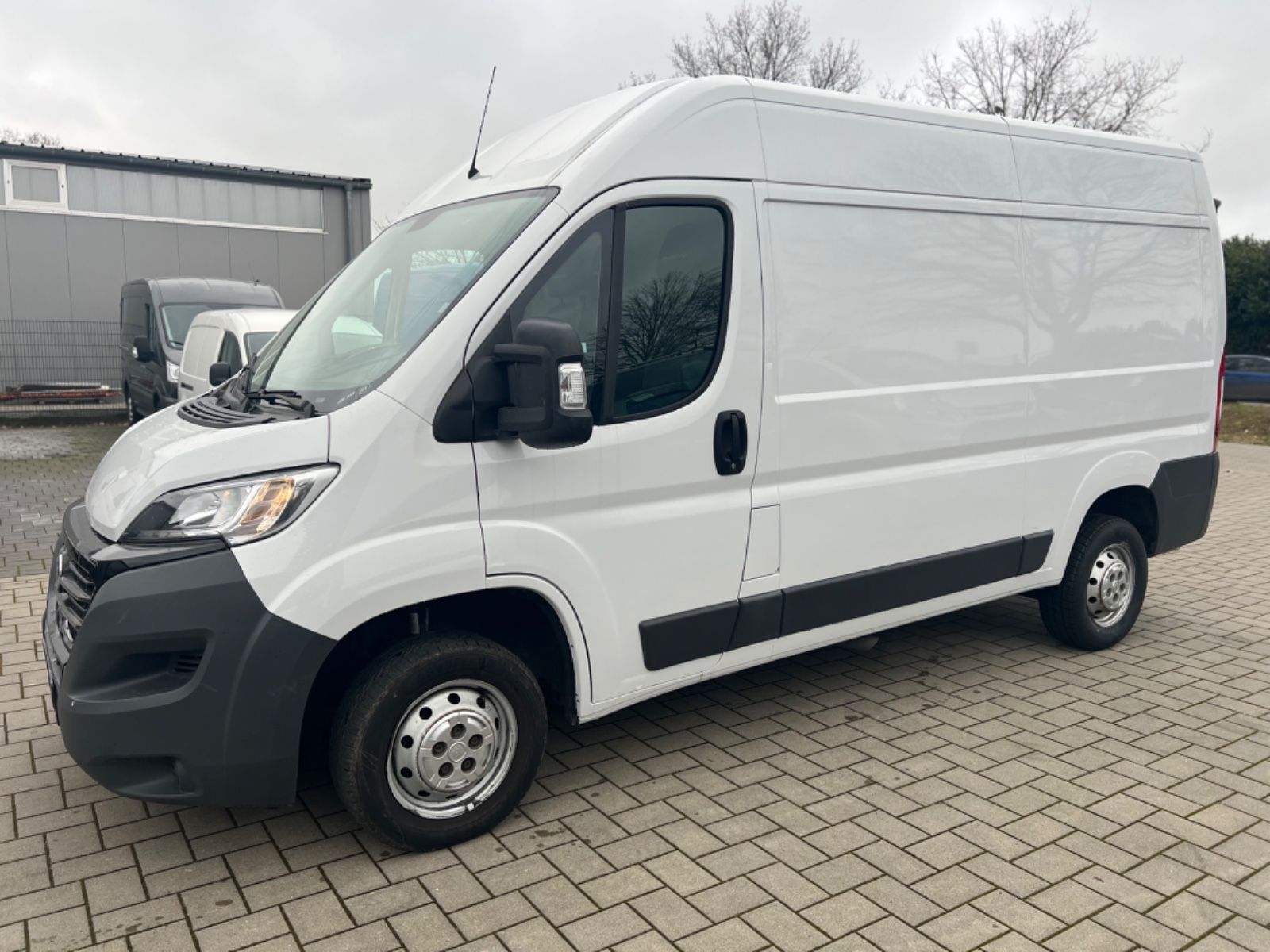 Fiat Ducato - neu oder gebraucht kaufen in Appen-Etz