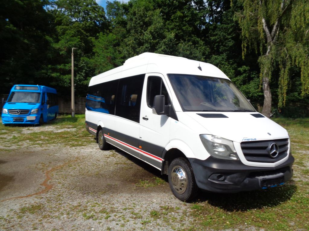 Mercedes-Benz Sprinter extra lang kaufen bei mobile.de