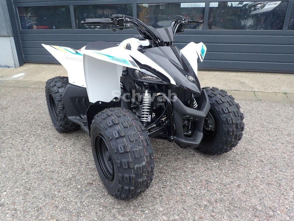 Quad Von 1 bis 50 ccm | Motorrad kaufen bei mobile.de
