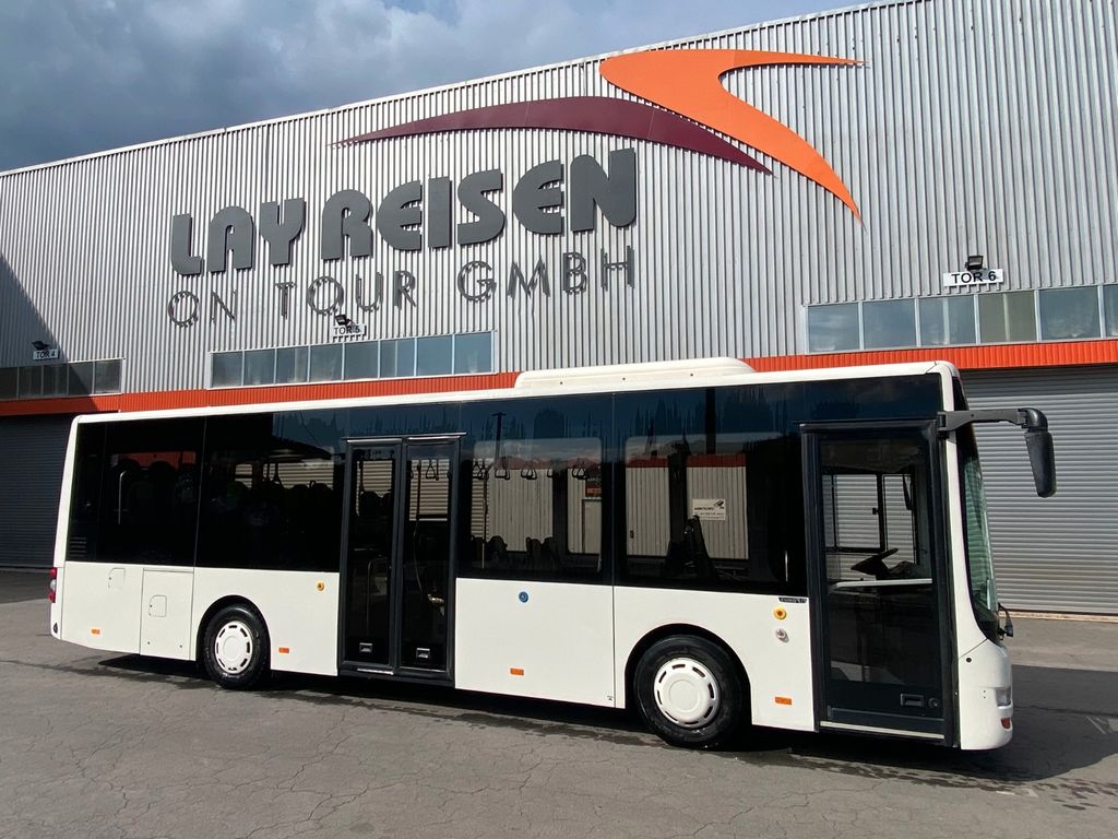 Omnibushandel – Lay Reisen
