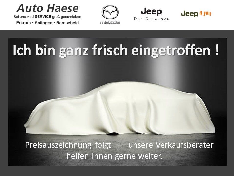 Fahrzeugübersicht - Auto Haese